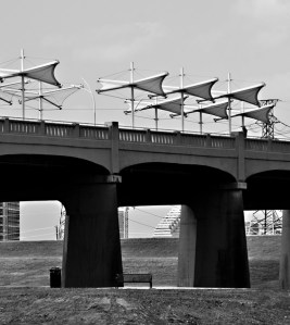 Shade Structures | Bill Chance